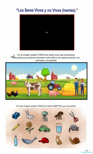 Diferenciemos seres vivos y no vivos . Ficha interactiva | TopWorksheets