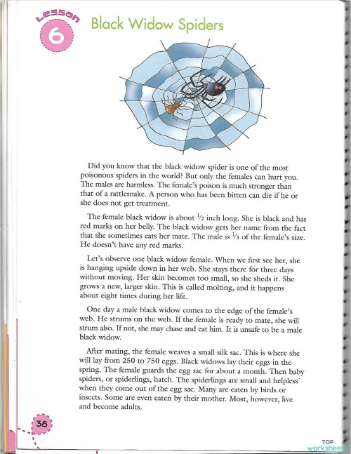 SEQUENCE 2. Interactive worksheet | TopWorksheets