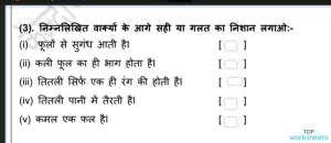 Interactive worksheets and online exercises in india | TopWorksheets