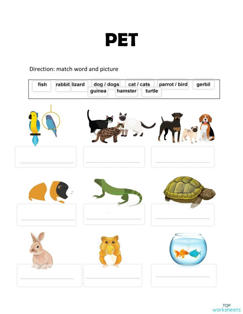 pets match word. Interactive worksheet | TopWorksheets