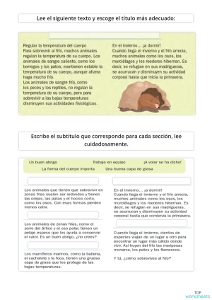 titulos y subtitulos . Ficha interactiva | TopWorksheets