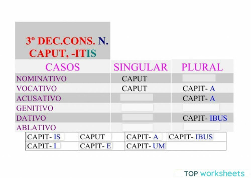 3ª Declinación Consonante Neutro. Ficha interactiva | TopWorksheets