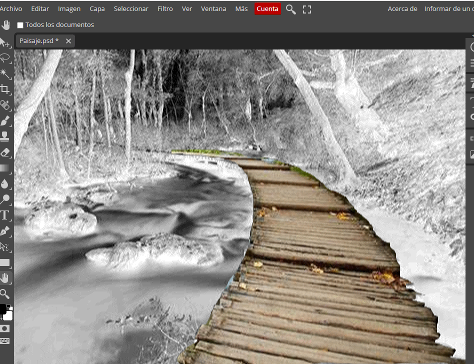 PHOTOPEA - III Bimestre 01 - ENTORNO. Ficha interactiva | TopWorksheets