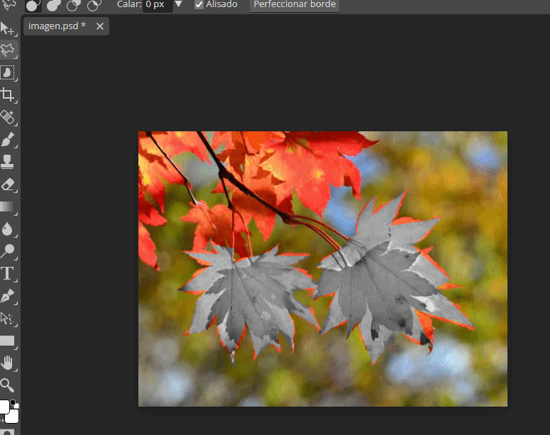 PHOTOPEA - III Bimestre 05 - Trabajo Libre 5ªB. Ficha interactiva ...