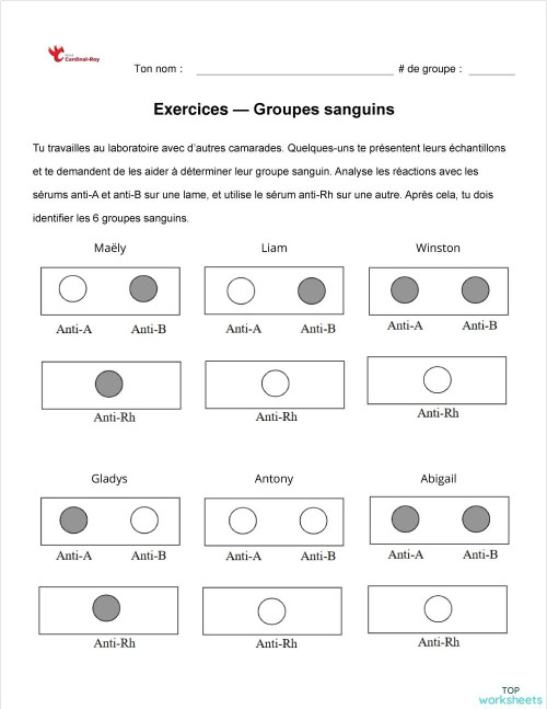 Exercice groupes sanguins. Fiche interactive | TopWorksheets