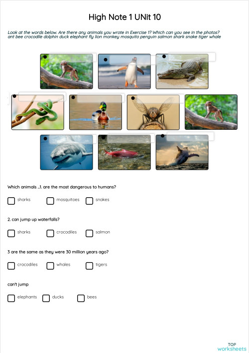High Note 1 UNit 10. Interactive worksheet | TopWorksheets