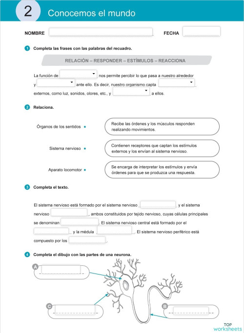 Conocemos el mundo. Ficha interactiva | TopWorksheets