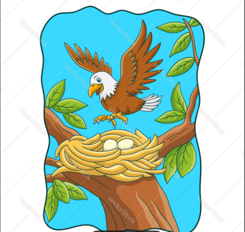 SKY HIGH NEST. Interactive worksheet | TopWorksheets