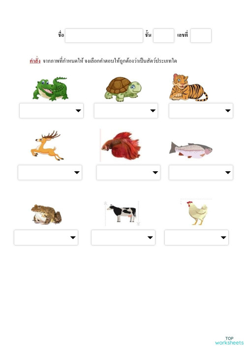 ใบงานที่ 3 Dropdown ใบงานเชิงโต้ตอบ | TopWorksheets