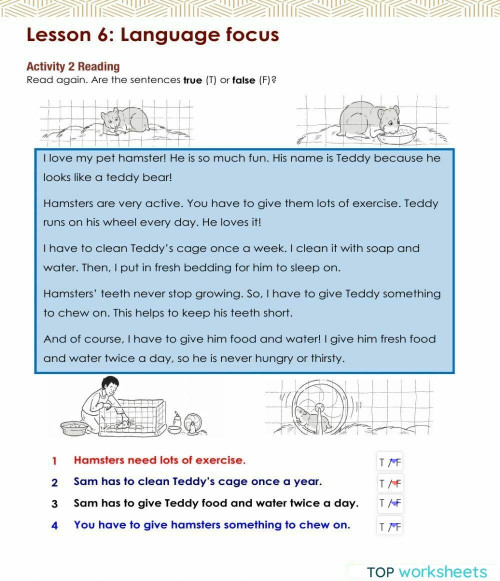 Access 6 - T3 - U8 - L6 - Act 2. Interactive worksheet | TopWorksheets