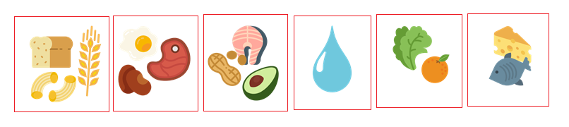 Six Essential Nutrients. Interactive worksheet | TopWorksheets