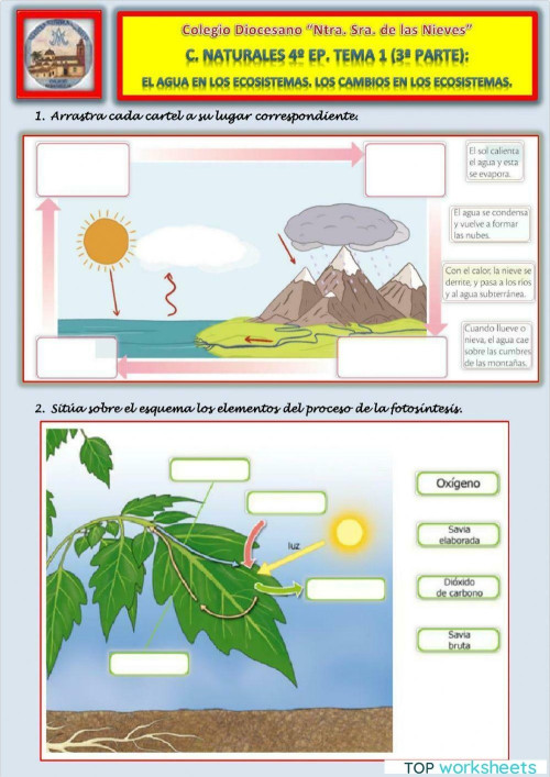 Tema 1. (3ª Parte). El agua en los ecosistemas. Los cambios en los ...