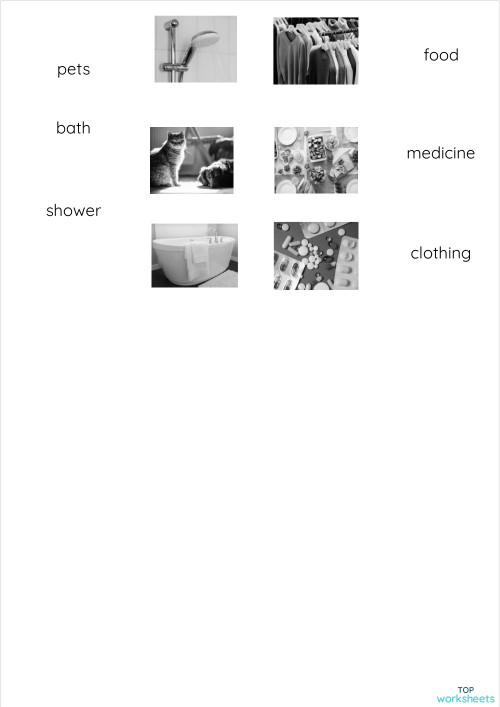 Match the words with its meaning. Interactive worksheet | TopWorksheets