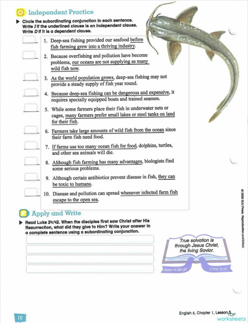 Subordinating Conjunctions: interactive worksheets and online exercises ...