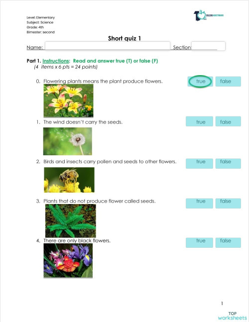 Science Short Quiz 1. Ficha interactiva | TopWorksheets