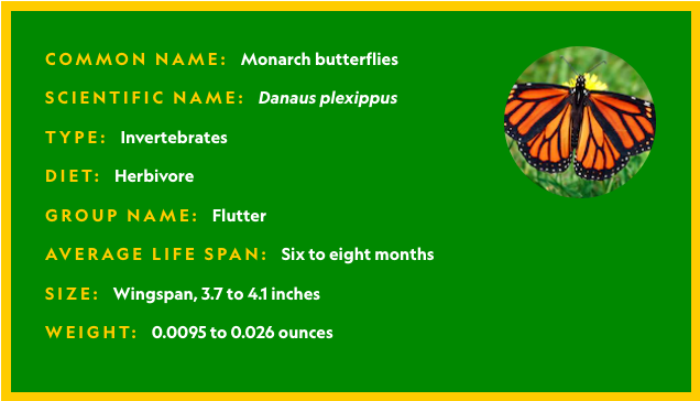 Power Up 4 | Unit 2.2. Interactive worksheet | TopWorksheets