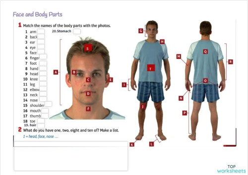 Face and Body Parts. Interactive worksheet | TopWorksheets