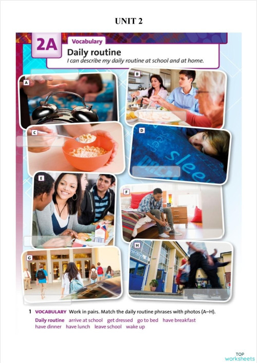 UNIT 2 - VOCABULARY. Bài tập tương tác | TopWorksheets