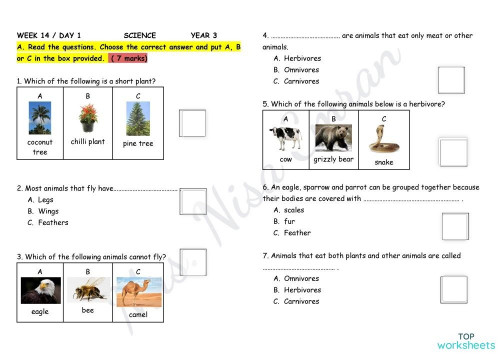 SCIENCE WEEK 14 / DAY 1 REVISION UNIT 1. Interactive worksheet ...