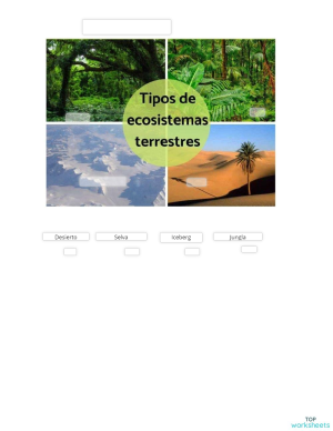 Ecosistemas Terrestres . Ficha interactiva | TopWorksheets