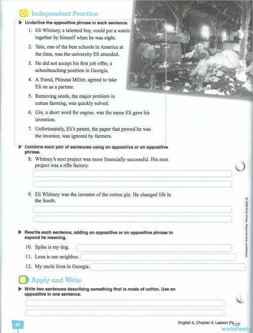 Appositives Worksheets