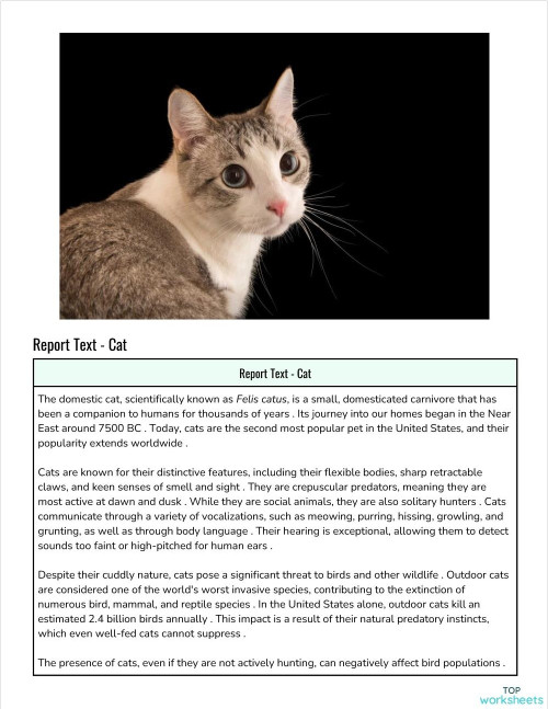 Report Text - Cat. Interactive worksheet | TopWorksheets