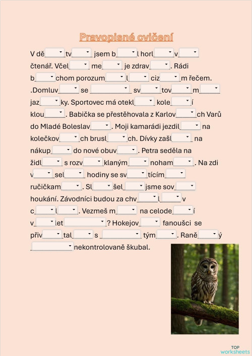Čeština: interaktivní pracovní listy a online cvičení | TopWorksheets