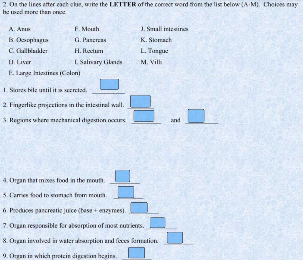 DIGESTIVE SYSTEM. Interactive worksheet | TopWorksheets