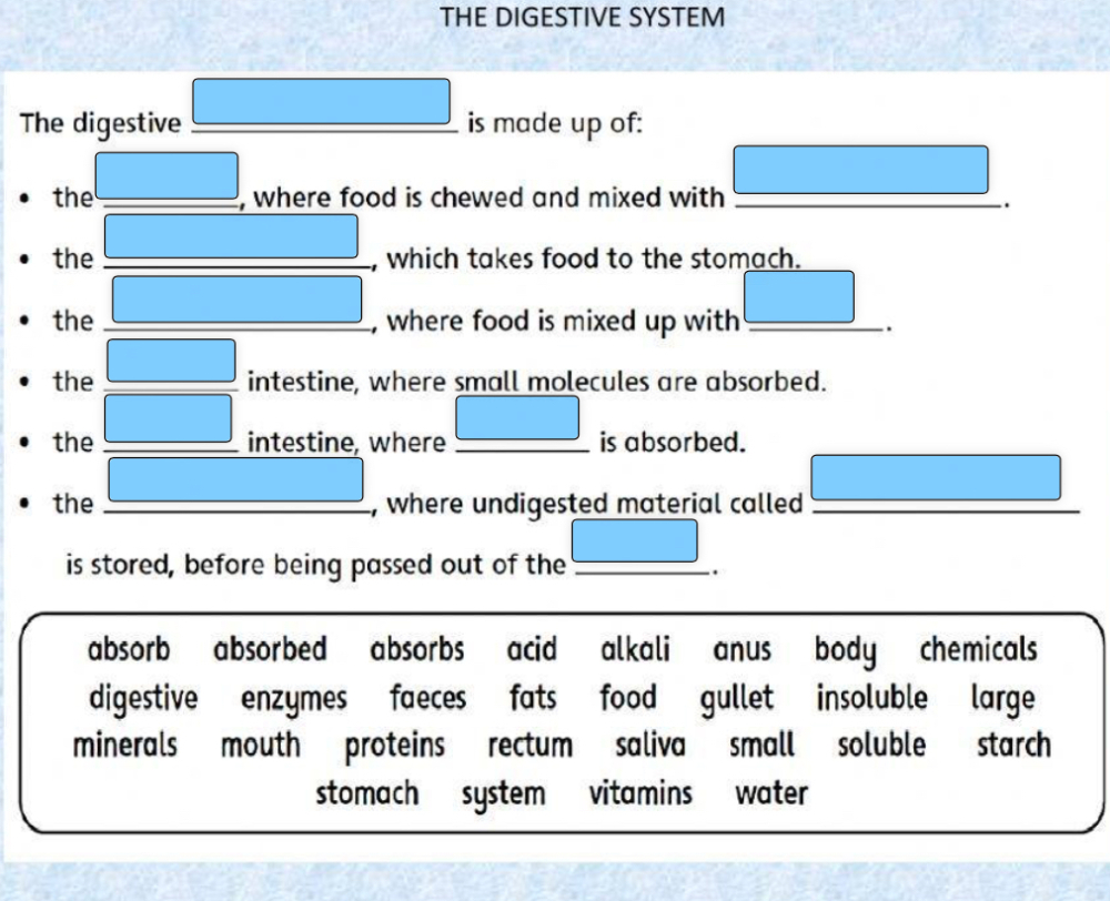 DIGESTIVE SYSTEM. Interactive worksheet | TopWorksheets