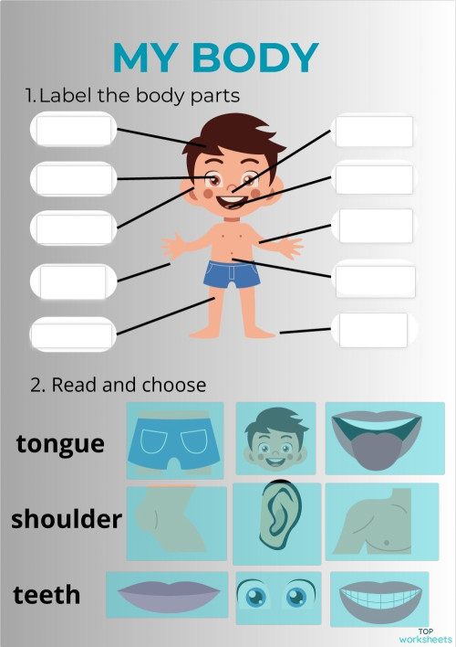 My body (label the body parts). Interactive worksheet | TopWorksheets