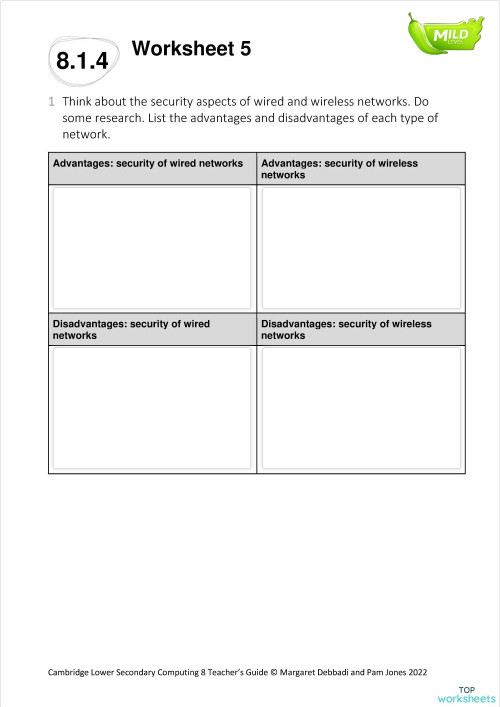 Security Concerns - Classwork. Interactive worksheet | TopWorksheets