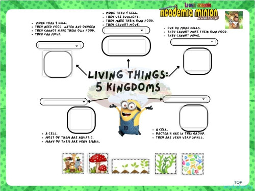 CLASSIFICATION OF LIVING THINGS. Interactive worksheet | TopWorksheets
