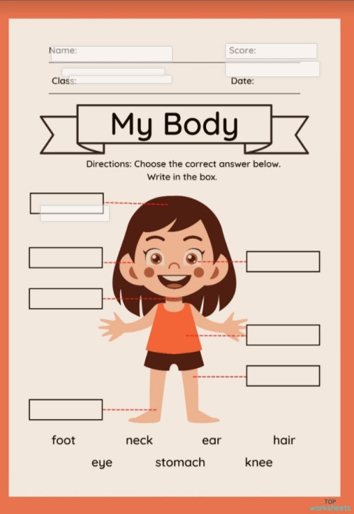 Drop-down anwer ใบงานเชิงโต้ตอบ | TopWorksheets