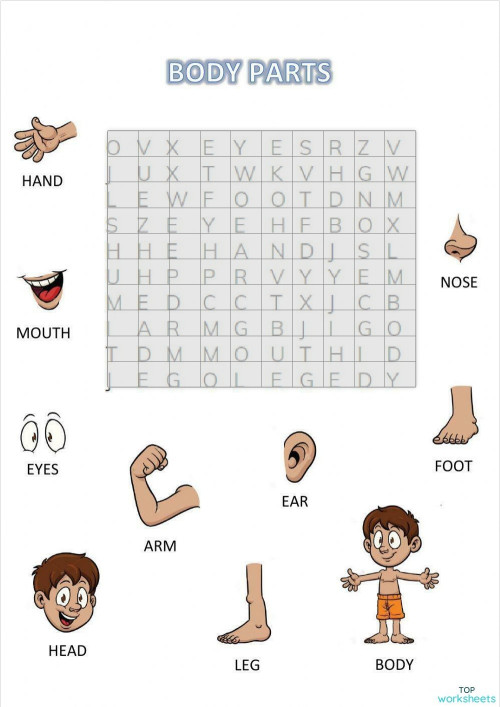 BODY PARTS. Interactive worksheet | TopWorksheets