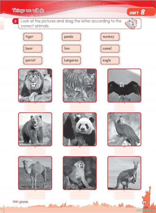 NGS 5-Uni.8-Pág.89. Ficha interactiva | TopWorksheets