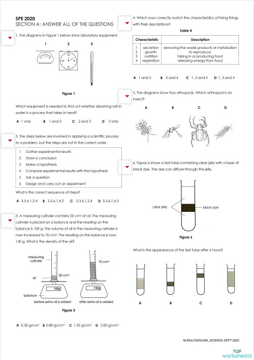 Volume Of Irregular Solids Worksheet