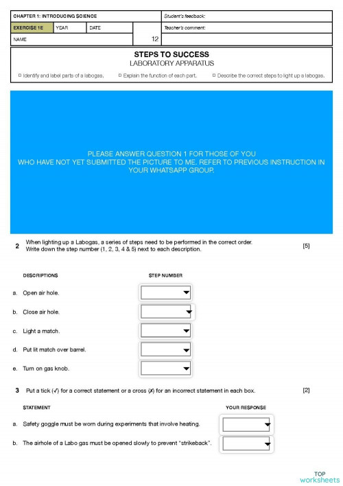 EXERCISE 1E. Interactive worksheet | TopWorksheets