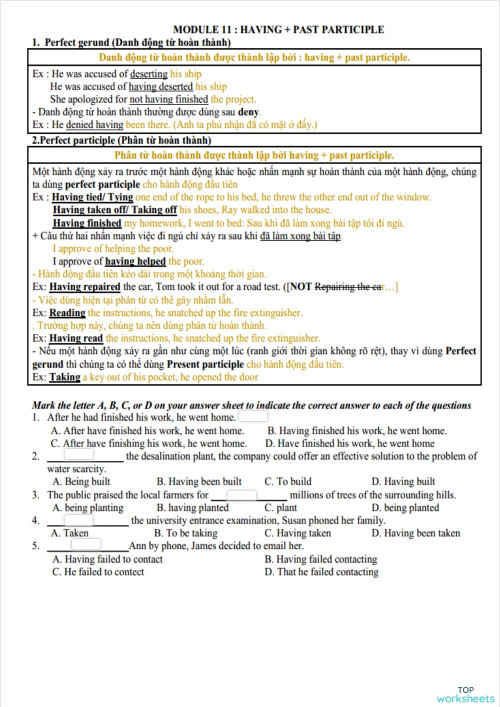 MODULE 11 : HAVING + PAST PARTICIPLE. Interactive worksheet | TopWorksheets