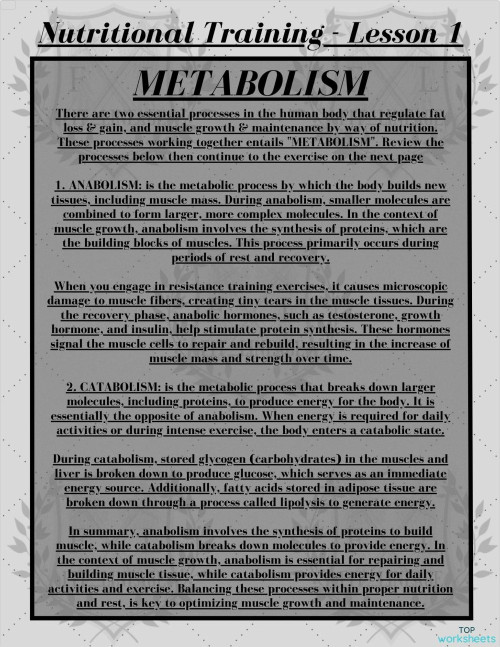 Lesson 1: Metabolism. Interactive worksheet | TopWorksheets