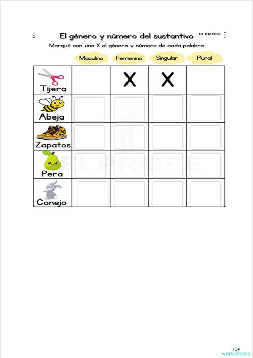 género y número del sustantivo. : fichas interactivas y ejercicios ...