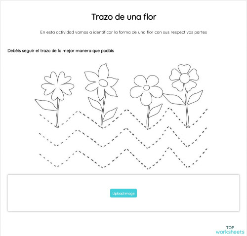 Trazo de una flor. Ficha interactiva | TopWorksheets