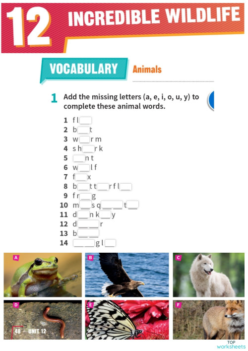 UNIT 12 VOCABULARY PAG 48. Interactive worksheet | TopWorksheets