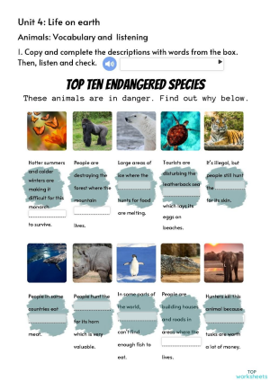 Animals: Vocabulary and listening. Interactive worksheet | TopWorksheets