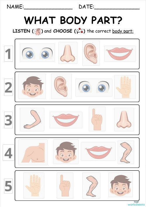 What body part?. Interactive worksheet | TopWorksheets