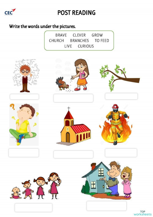 Post Reading Worksheet. Interactive worksheet | TopWorksheets