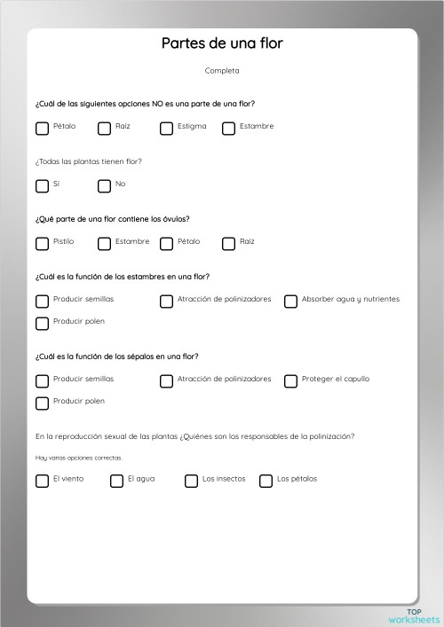 Partes de una flor. Ficha interactiva | TopWorksheets