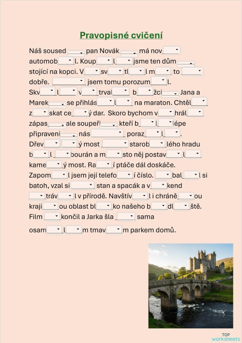 Čeština: interaktivní pracovní listy a online cvičení | TopWorksheets