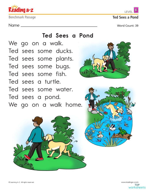 Level B: Ted sees a pond. Interactive worksheet | TopWorksheets