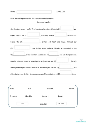 Movement system. Interactive worksheet | TopWorksheets