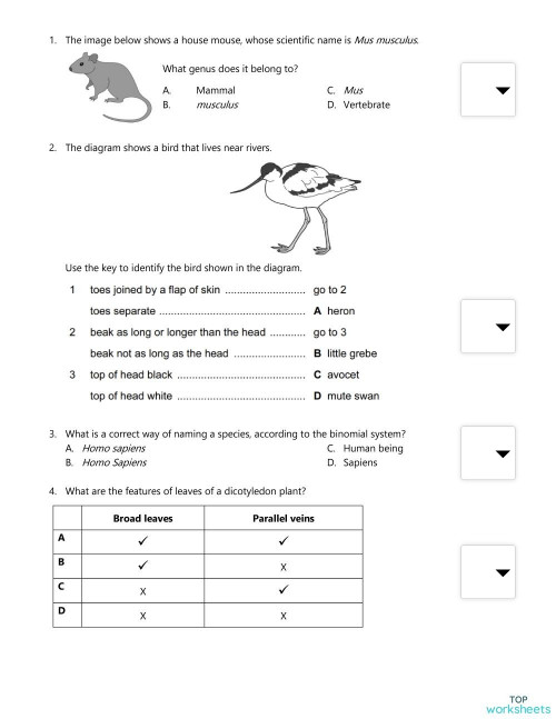 Revision 2. Interactive worksheet | TopWorksheets
